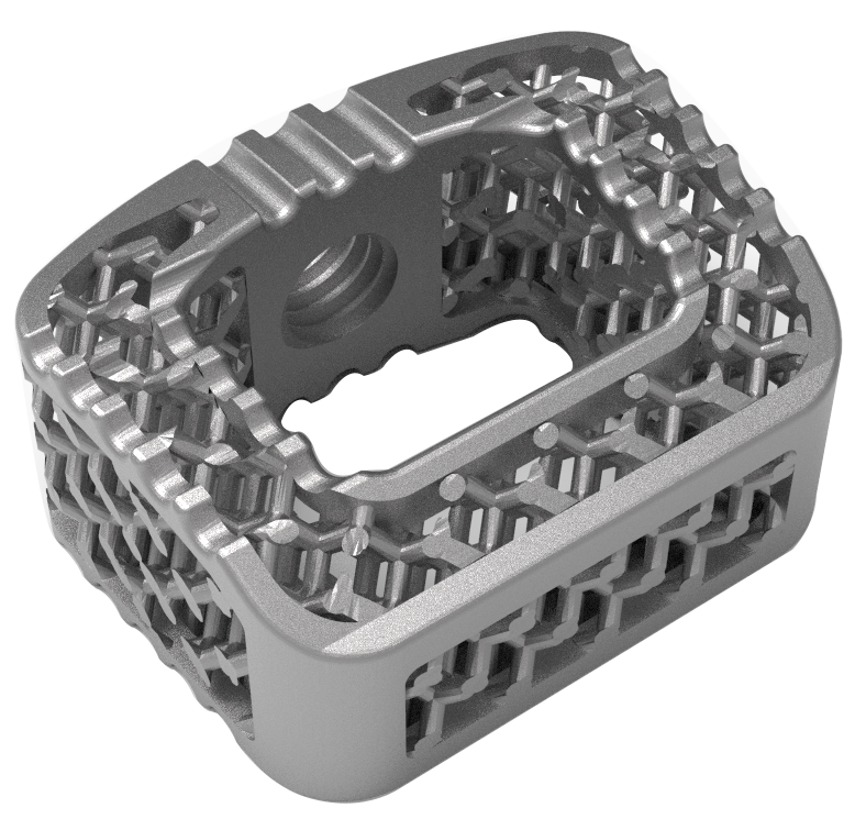 Interbody Fusion Cage-3D printed Cage Systems-Trauhui