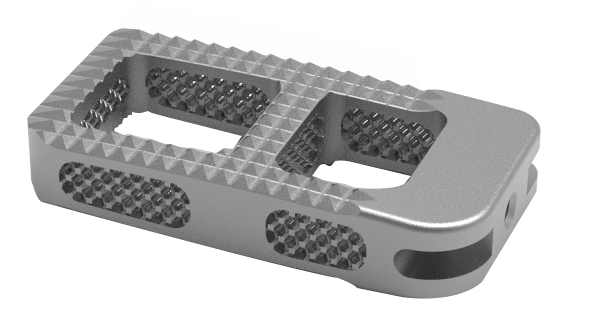 Interbody Fusion Cage-3D printed Cage Systems-Trauhui
