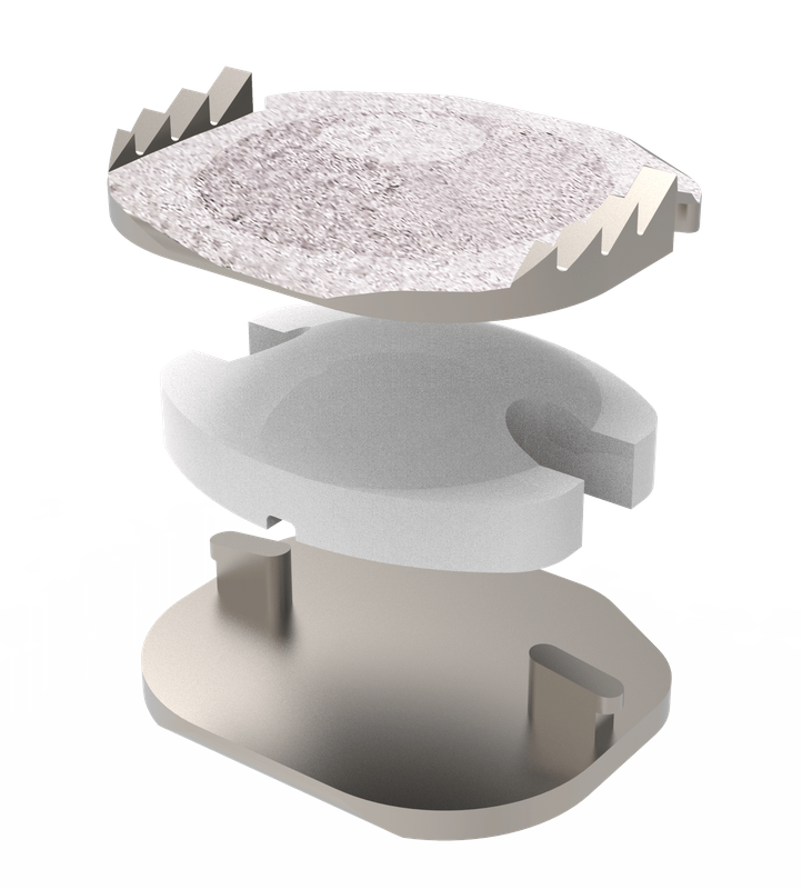 Coahard Cervical intervertebral disc system-Cervical intervertebral ...