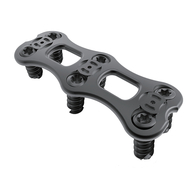 Spine Camic Cervical Plate Systems-Anterior Cervical plate-Trauhui