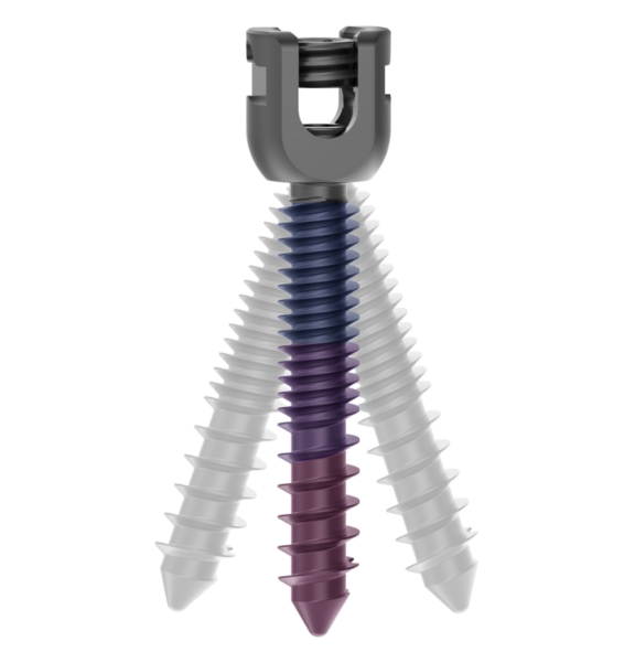 CSS-Spinal Pedicle Screw System-Trauhui